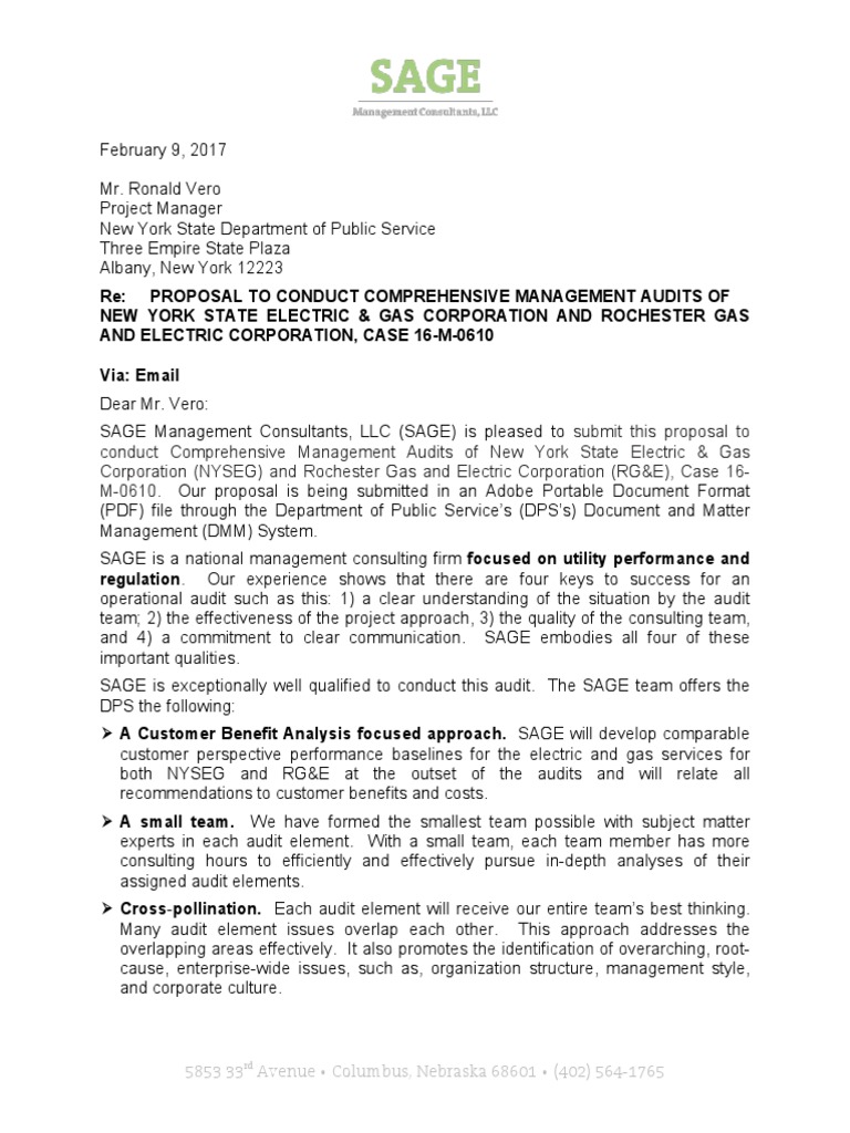 Sag 2 | PDF | Audit | Project Management