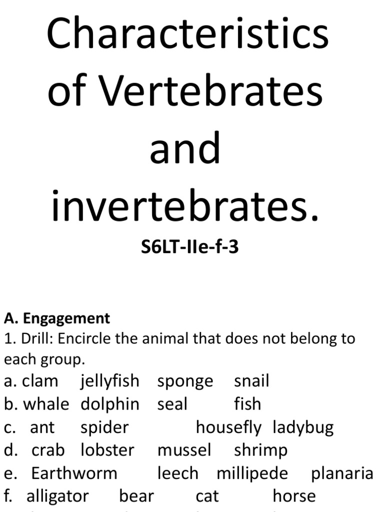 Characteristics of Vertebrates and Invertebrates | PDF