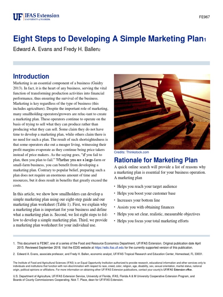 8 Steps To Developing A Simple Marketing Plan | PDF | Pricing ...