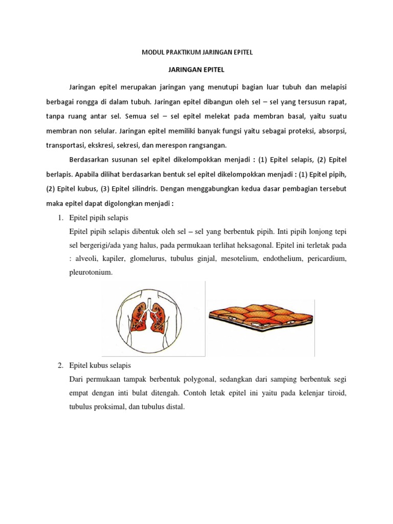 Modul Praktikum Jaringan Epitel | PDF