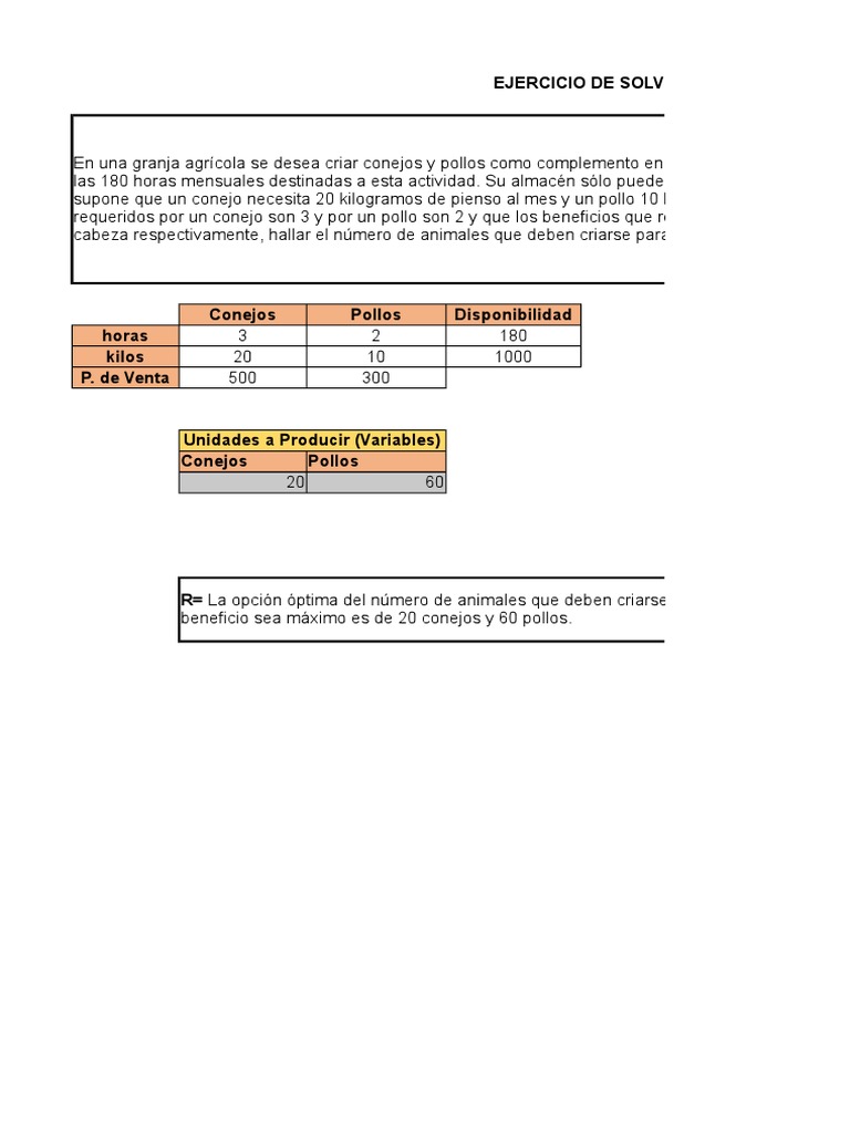 Ejercicios Solver | PDF