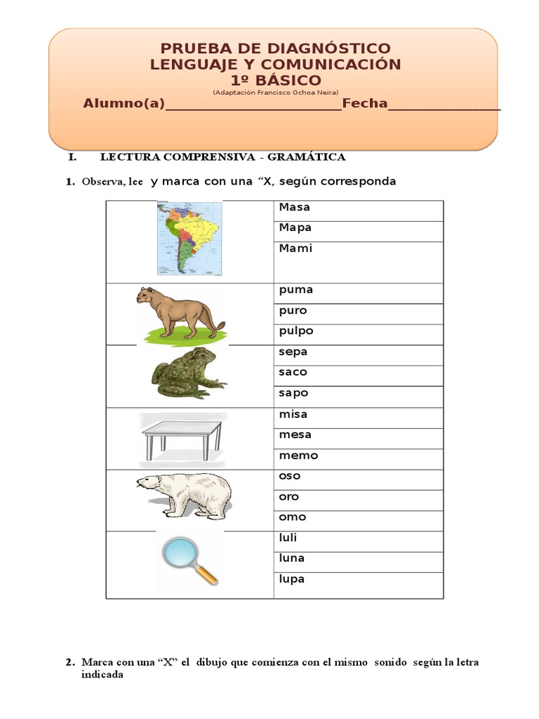 Diagnostico Primero Lenguaje PDF | PDF | Evaluación