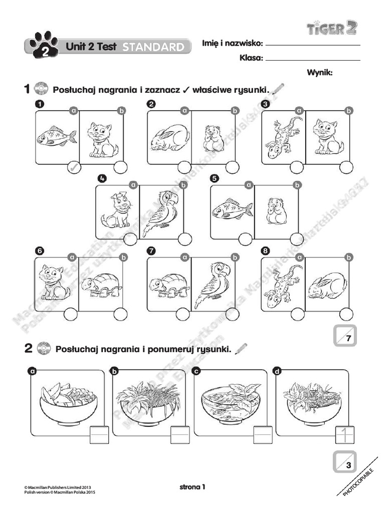Tiger 2 Unit 2 Test Standard | PDF