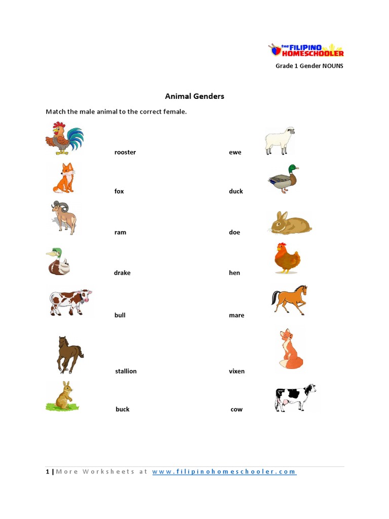 English G1 - Gender Nouns - Animals | PDF