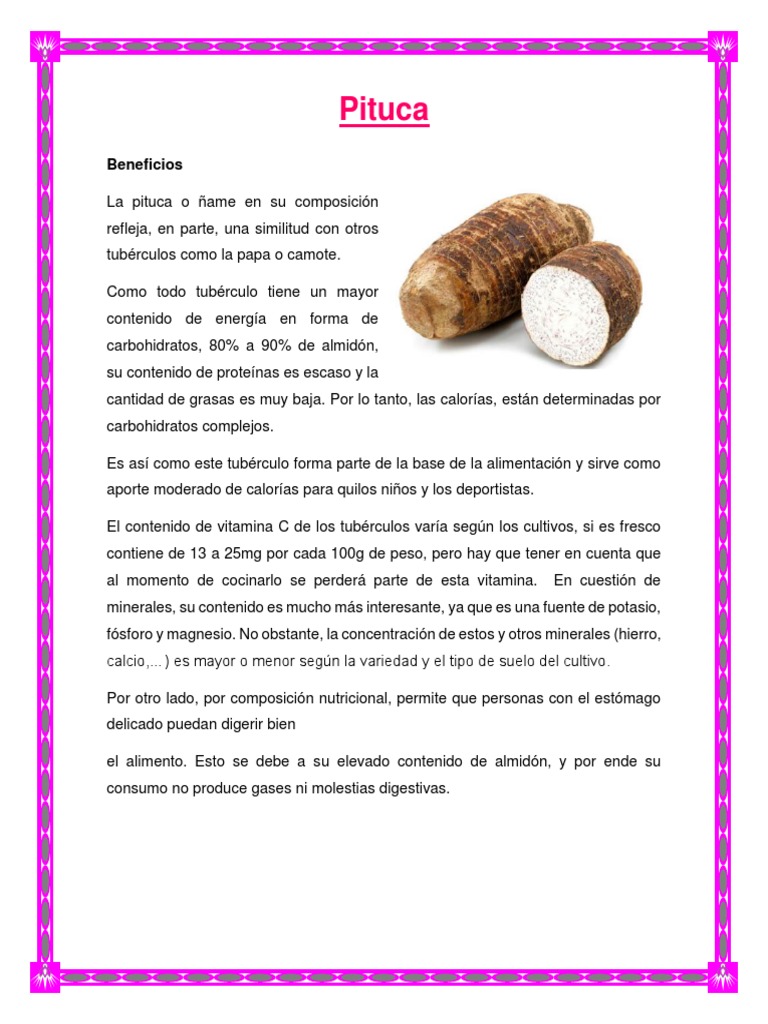 Pituca | PDF | Digestión | Alimentos