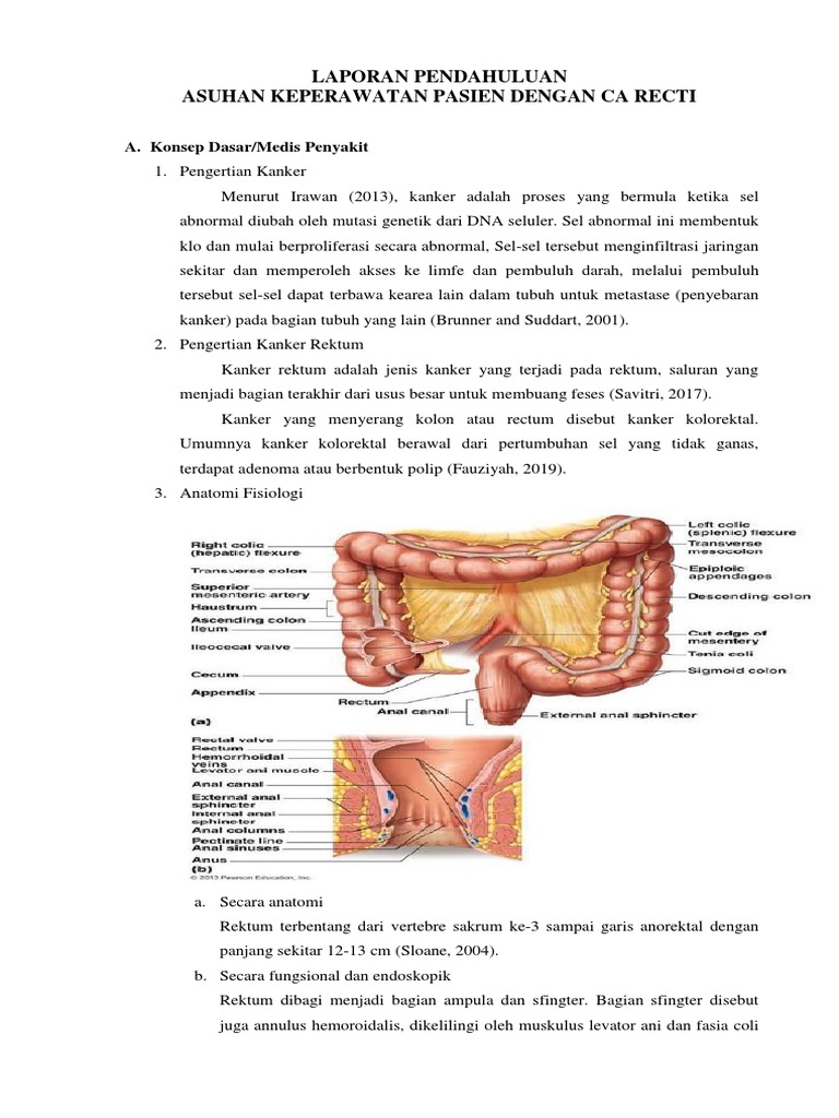 Laporan Pendahuluan CA Recti Revisi | PDF | Sains & Matematika
