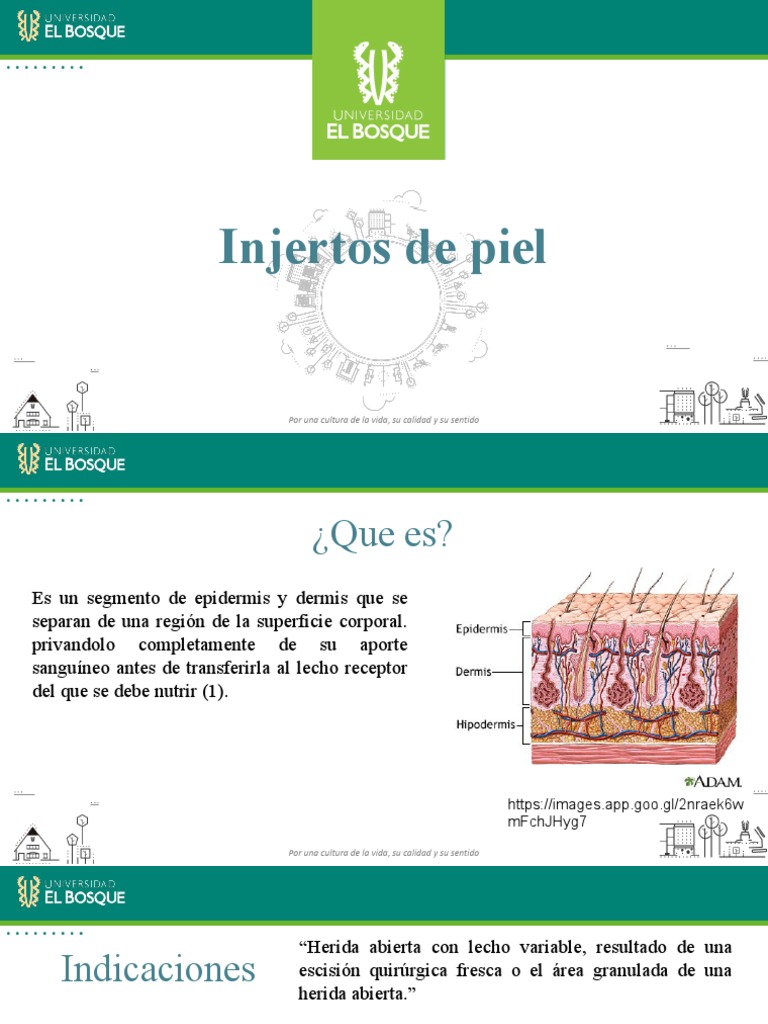 Guía de Injertos de Piel | PDF | Especialidades Medicas | Medicina CLINICA