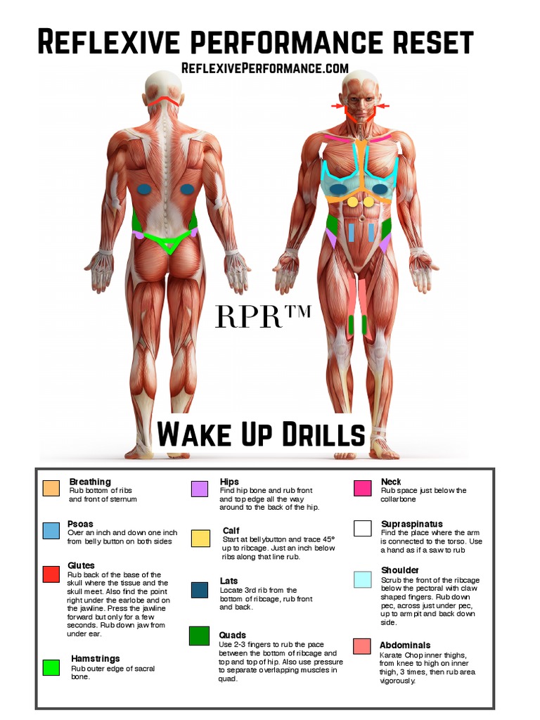 Reflexive Performance Reset - RPR | PDF