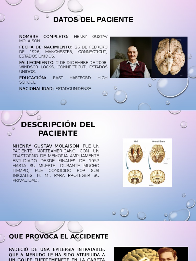 Paciente H.M. | PDF | Sistema nervioso | Cerebro