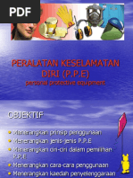 Rekod Penggunaan Ppe | PDF