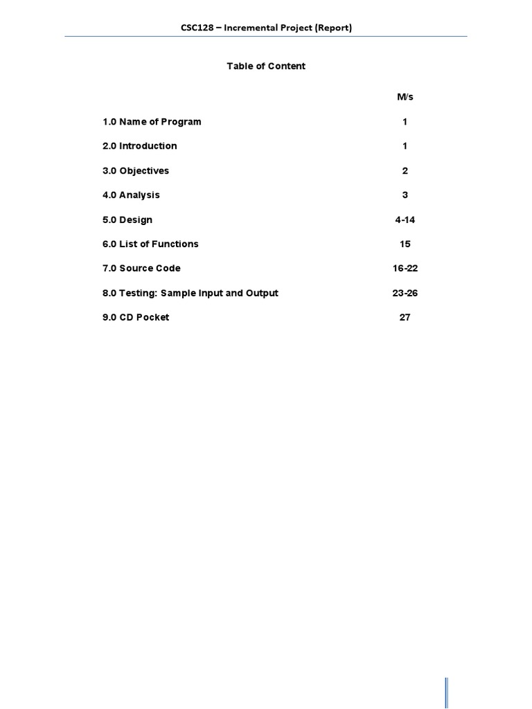 CSC128 Project Report | PDF | Software Engineering | Computer Programming