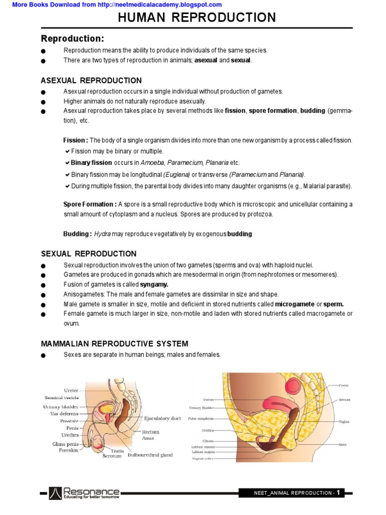 2.animal Reprodcation and Developmental Biology | PDF | Ovary ...