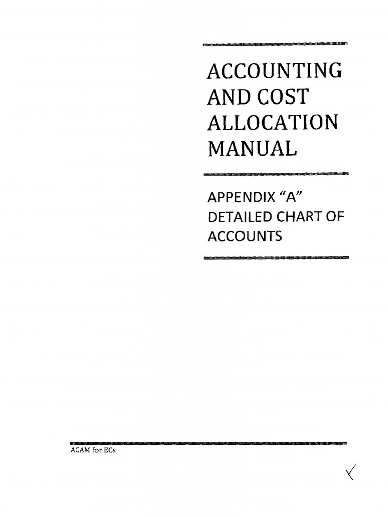 Detailed Chart of Accounts for Distribution Utility Plant, Generation ...