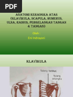 Struktur dan Fungsi Ekstremitas Atas | PDF