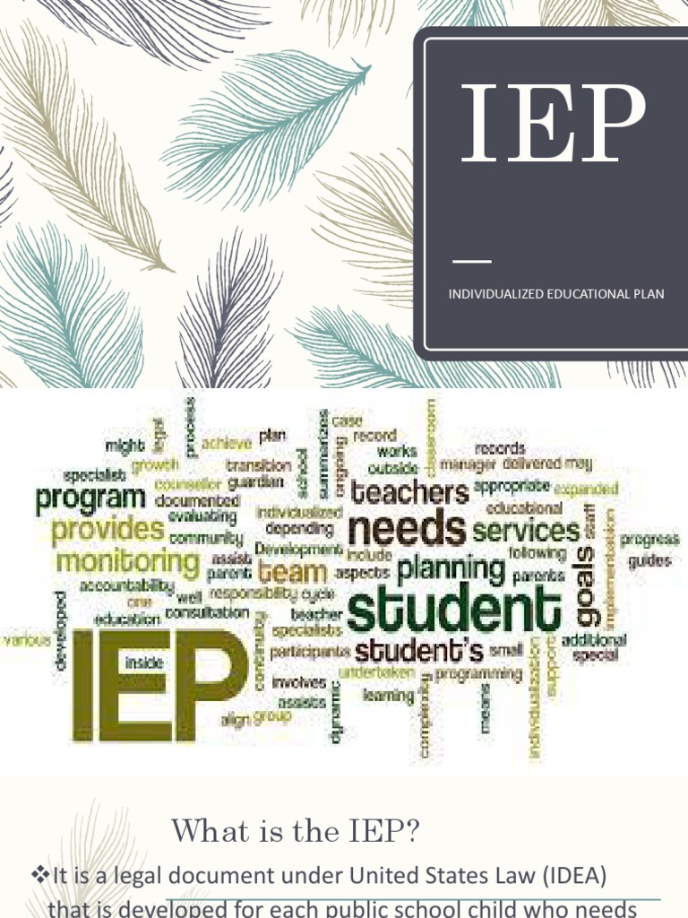 Individualized Educational Plan | PDF | Individualized Education ...