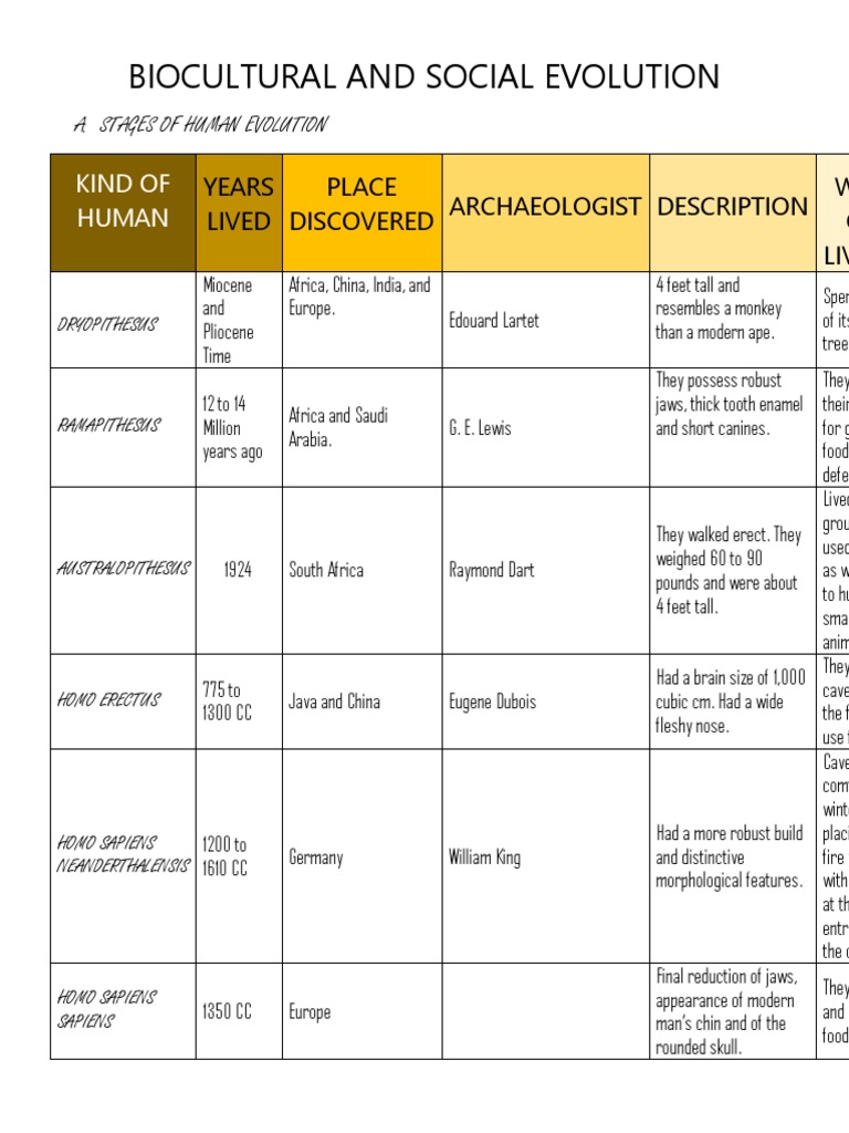 Biocultural and Social Evolution | PDF | Homo | Human Evolution
