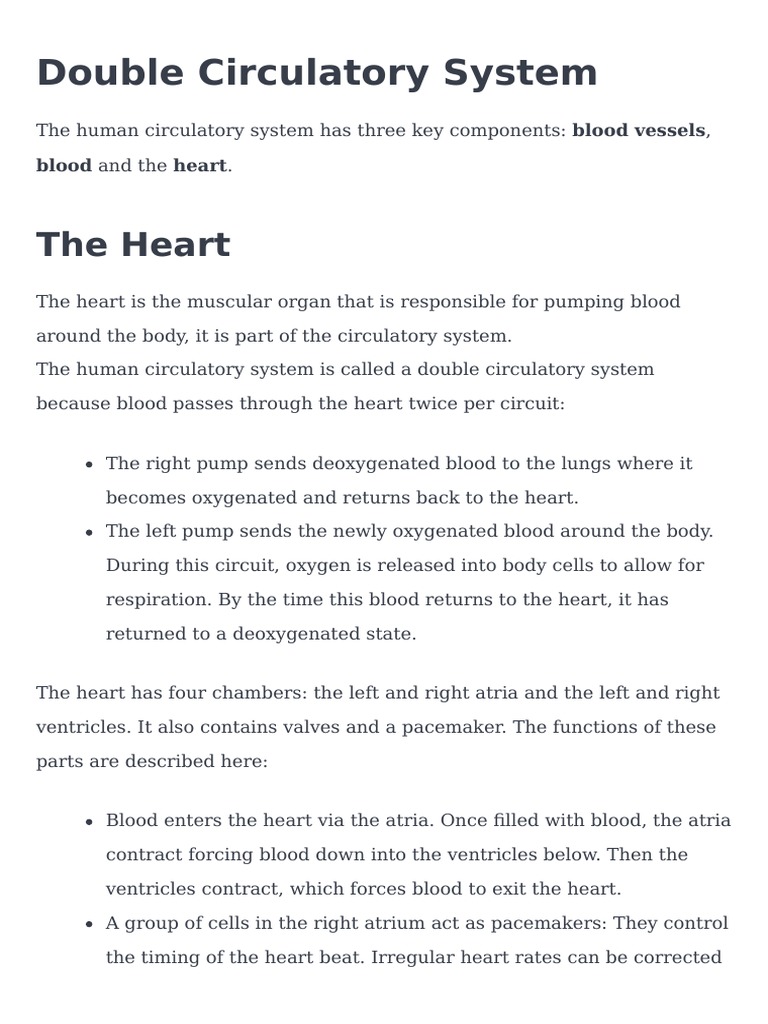Double Circulatory System Explained | PDF | Atrium (Heart) | Heart Double Circulatory System Explained | PDF | Atrium (Heart) | Heart