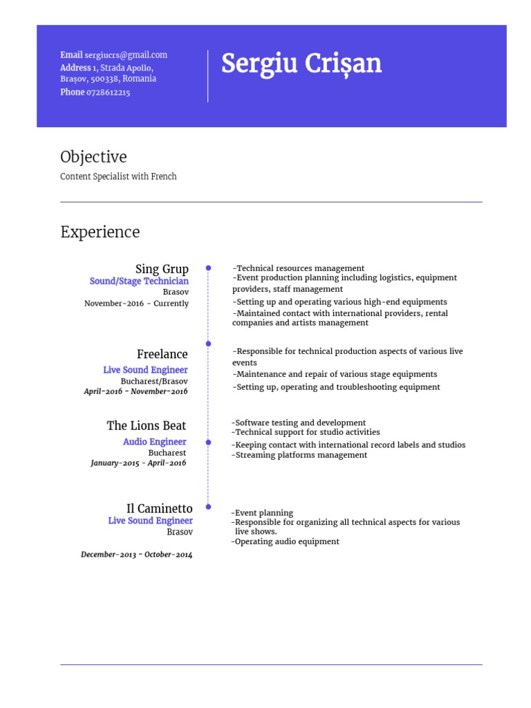 CV Crisan Sergiu | PDF | Audio Engineer | Software