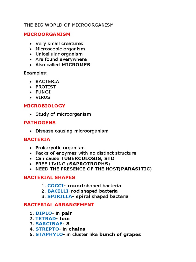 Understanding Microorganism Sizes | PDF | Microorganism | Algae
