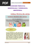 Guia Wawared | PDF | El embarazo | Contraseña