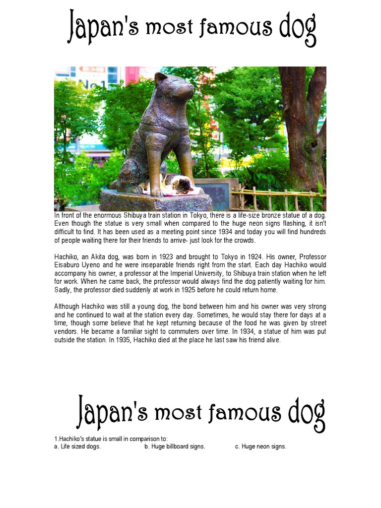 Hachiko Reading Comprehension Fun Activities Games Reading ...