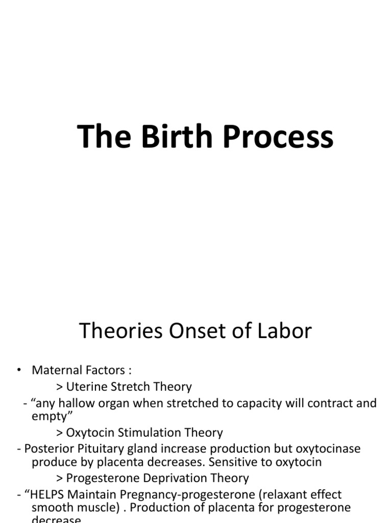 The Birth Process - Student | PDF | Childbirth | Pelvis