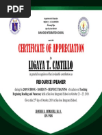 CAV Process For CHED and DFA | PDF | Postgraduate Education | College