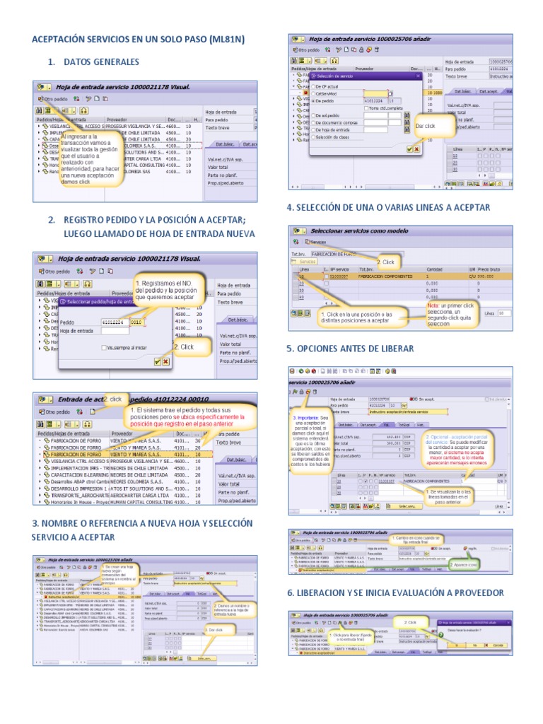 Aceptación Servicios MM en Un Solo Paso (Ml81N) | PDF