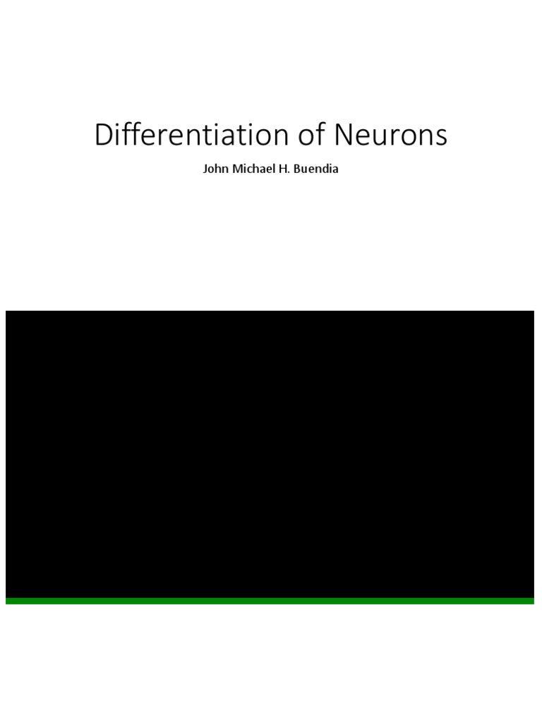 Neuron Differentiation and Development | PDF | Self-Improvement