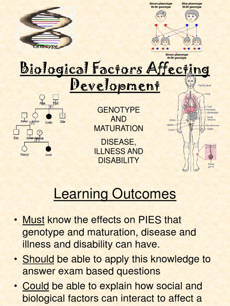 Biological Factors Affecting Development: Genotype AND Maturation ...