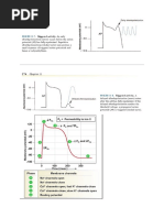 DC Shock | PDF | Cardiac Electrophysiology | Circulatory System