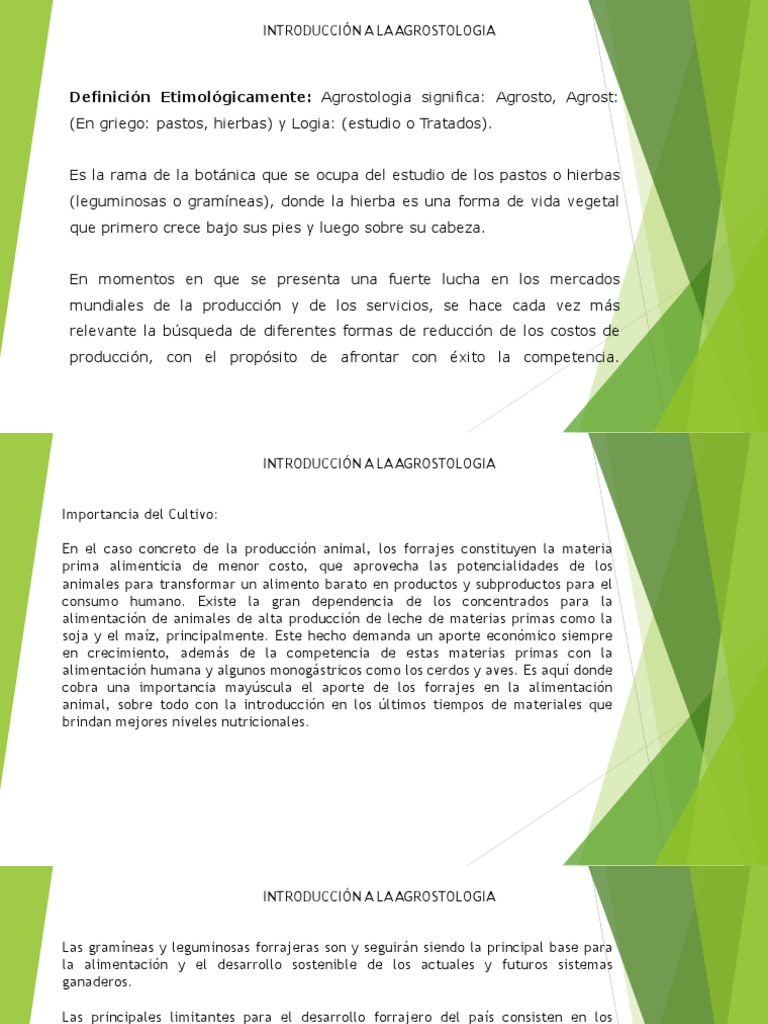 Introducción a la Agrostología | PDF | Cereales | Alimentos