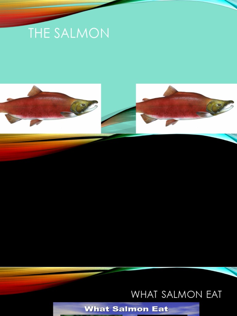 Comprehensive Guide to Salmon Facts | PDF | Wellness