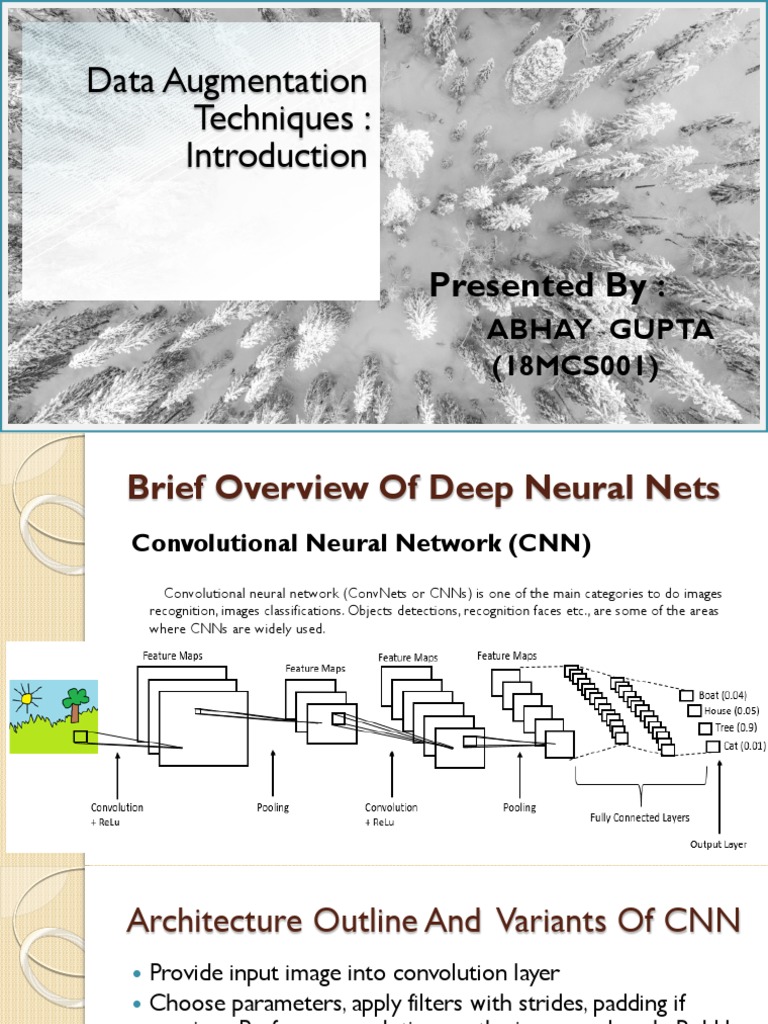 Data Augmentation for CNNs | PDF | Systems Thinking | Systems Science