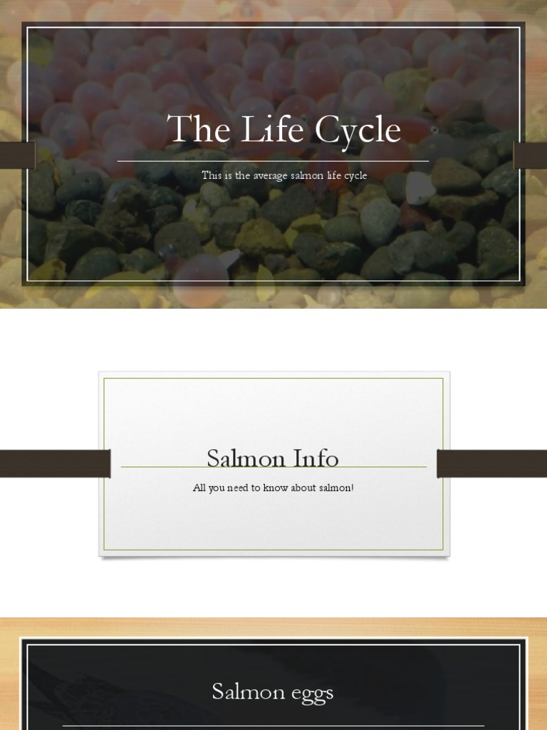 Salmon | PDF