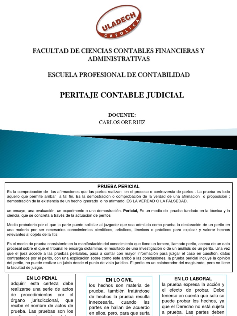 Análisis del proceso de peritaje contable judicial: desde la recepción ...