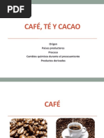 Composición Química del Café | PDF | café | Cafeína