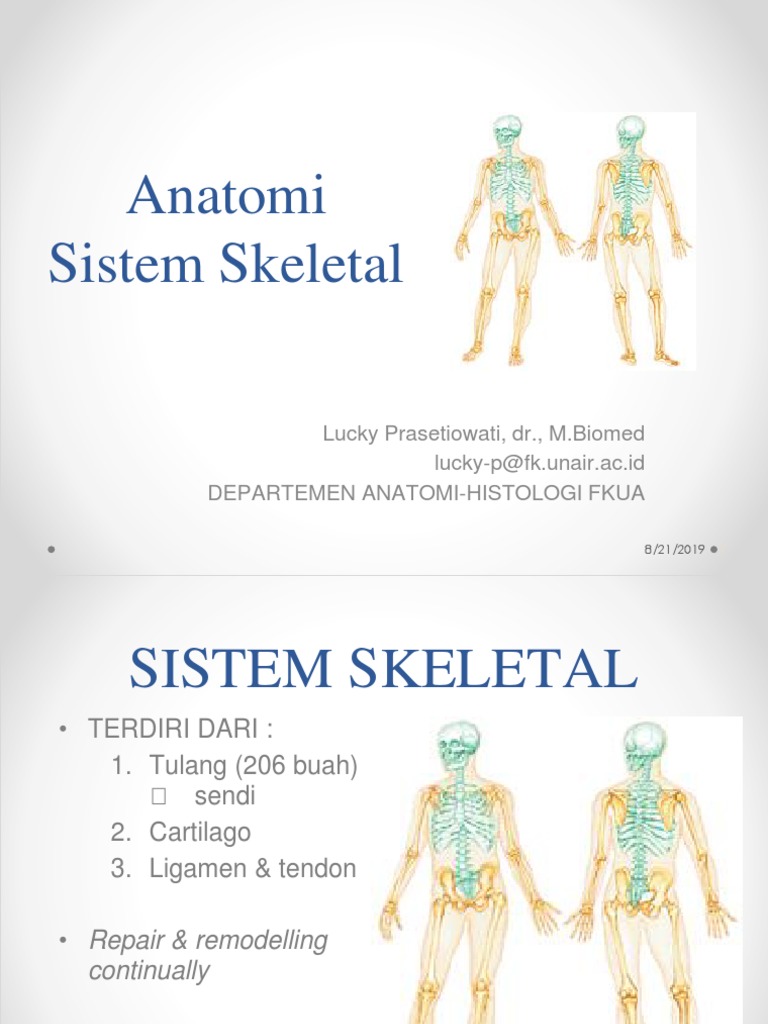 Anatomi Sistem Skeletal S1 | PDF
