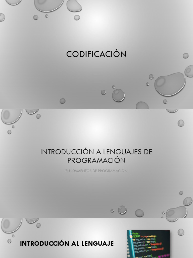 CODIFICACIÓN Python | PDF | Lenguaje de programación | Programación de ...