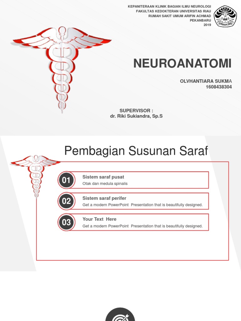 Neuroanatomy Overview and Presentation | PDF | Infographics | Microsoft ...