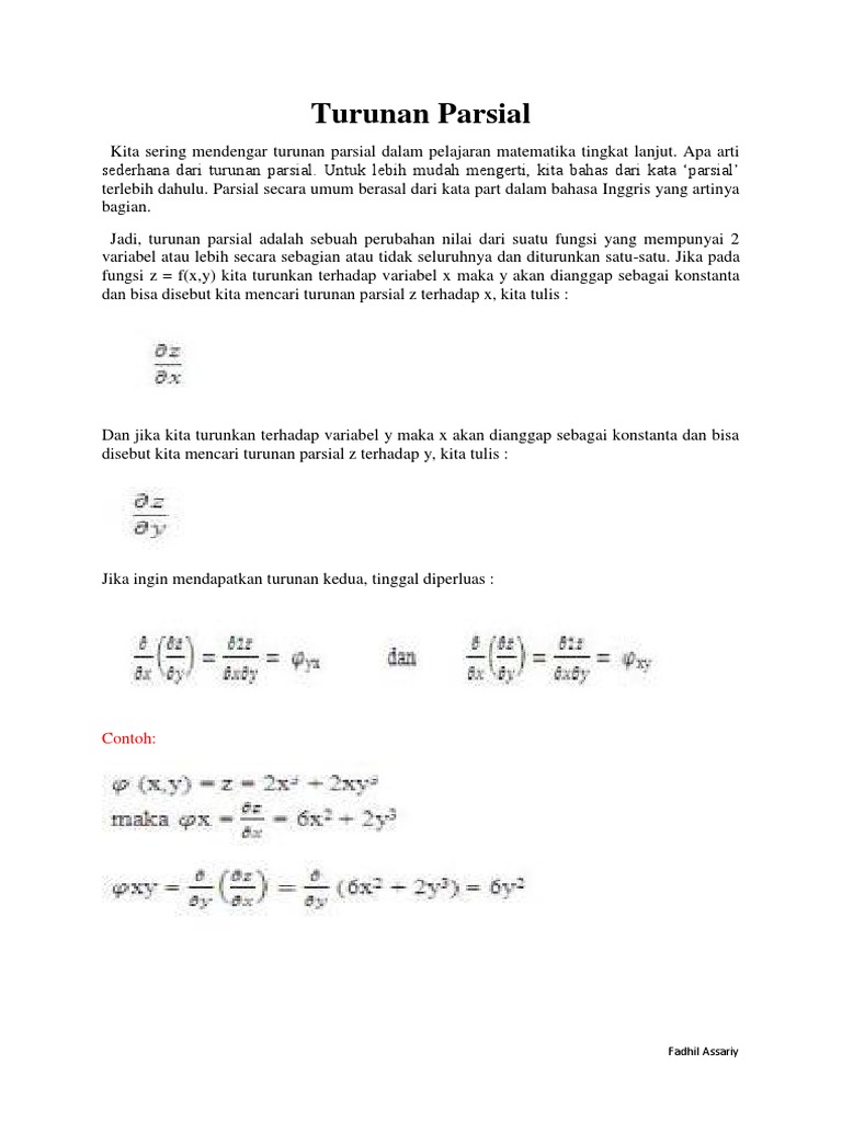 Turunan Parsial | PDF