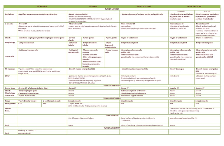 Histology - Git Table 1 | PDF | Epithelium | Esophagus