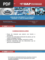 Signo de Risser | PDF | Escoliosis | Rtt