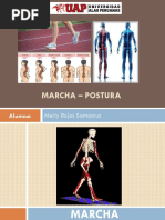 Marcha de Trendelenburg: Causas y Tratamiento | PDF | Nalgas | Rodilla
