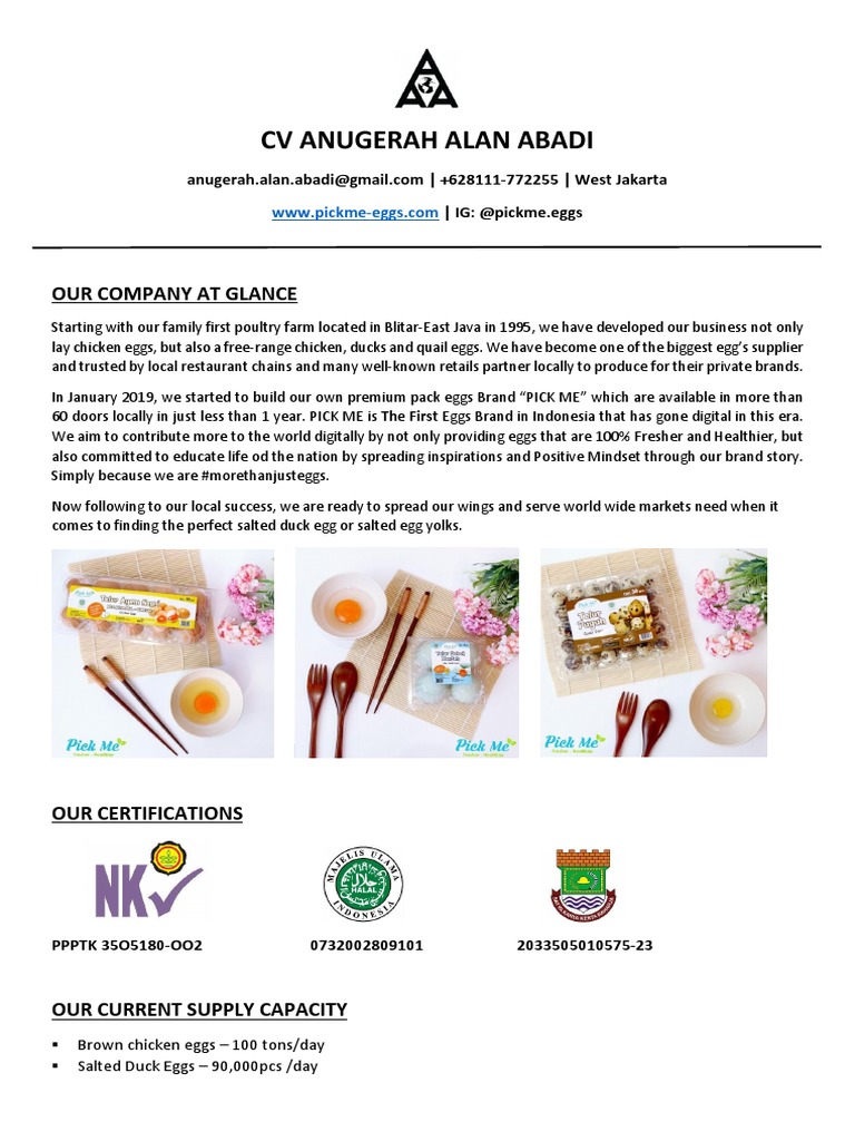 CV Aaa - Company Profile PDF | PDF