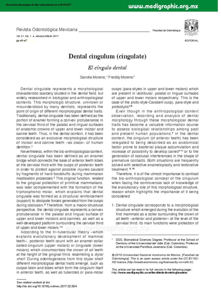 Dental Cingulum (Cingulate) : El Cíngulo Dental | PDF | Tooth | Animal ...