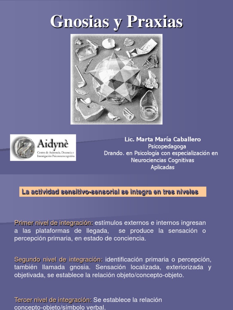 Gnosias y Praxias-Presentacion | PDF | Neurología | Cognición