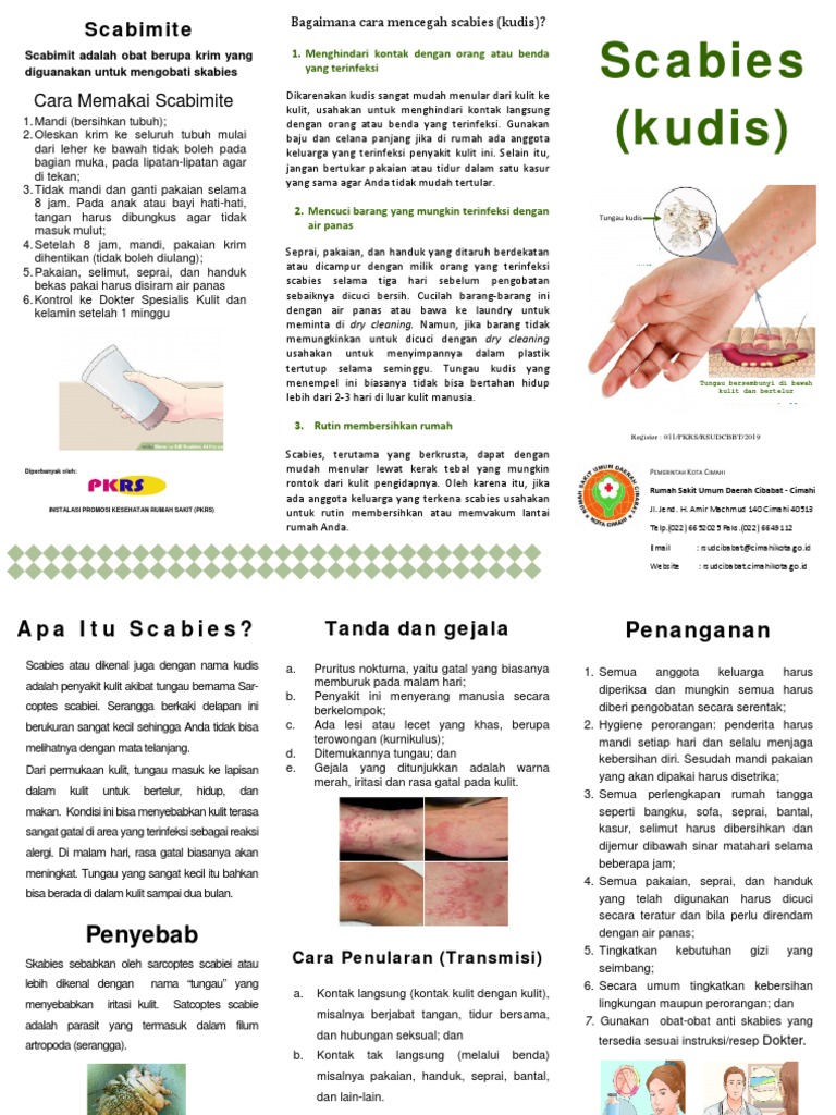 Leaflet Klinik Kulit Dan Kelamin Leaflet Scabises | PDF