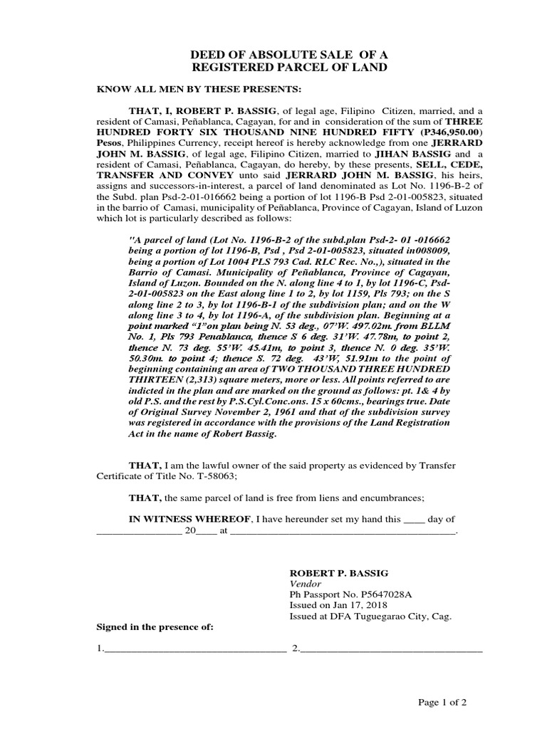 Deed of Sale JOHN BASSIG | PDF | Civil Law (Common Law) | Natural ...