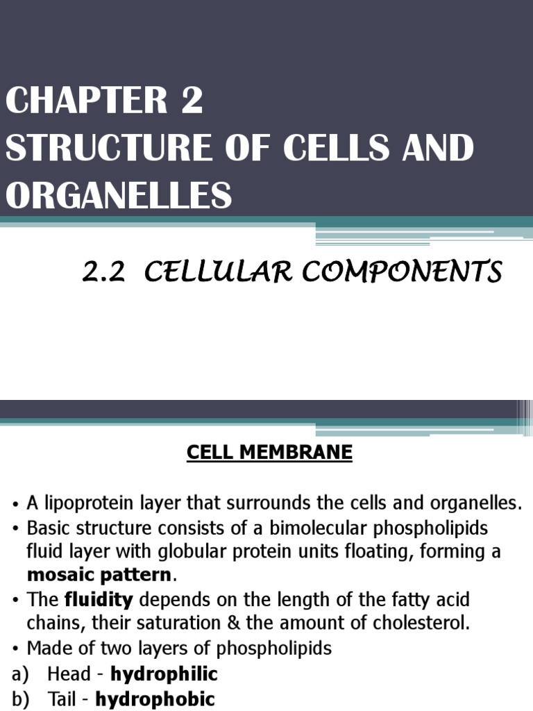 Chapter 2 Structure of Cells and Organelles | PDF | Cell Nucleus ...